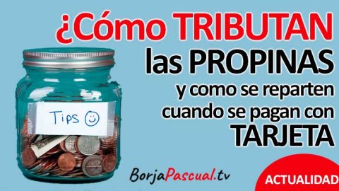 Cómo tributan y se reparten las propinas: Guía completa